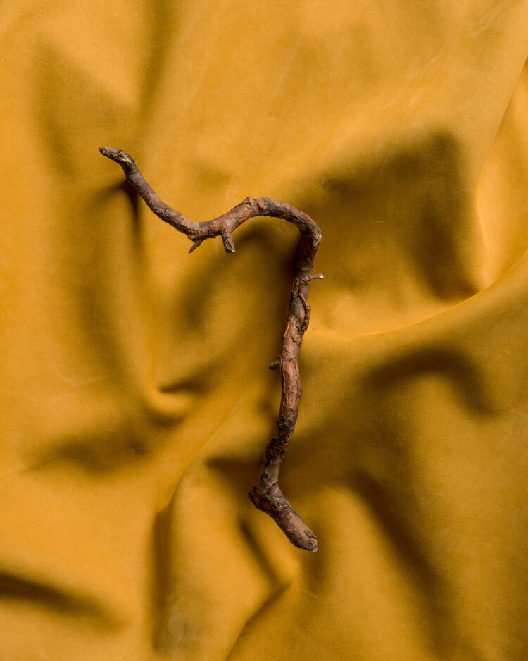 Elmosarek: A Natural Collection Inspired by Swedish Wilderness - Elmo