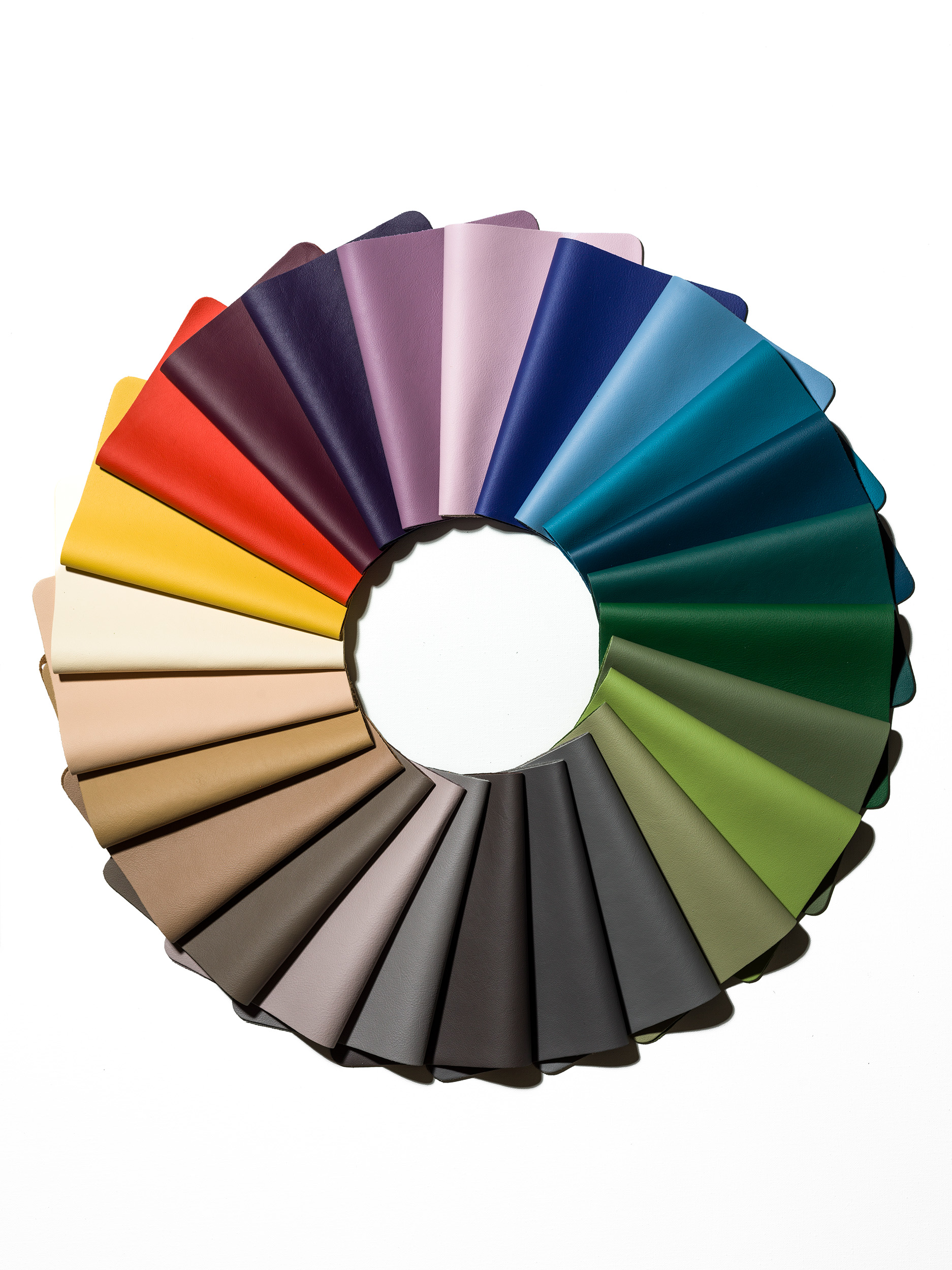 A Symphony of Sophisticated Hues - Elmo